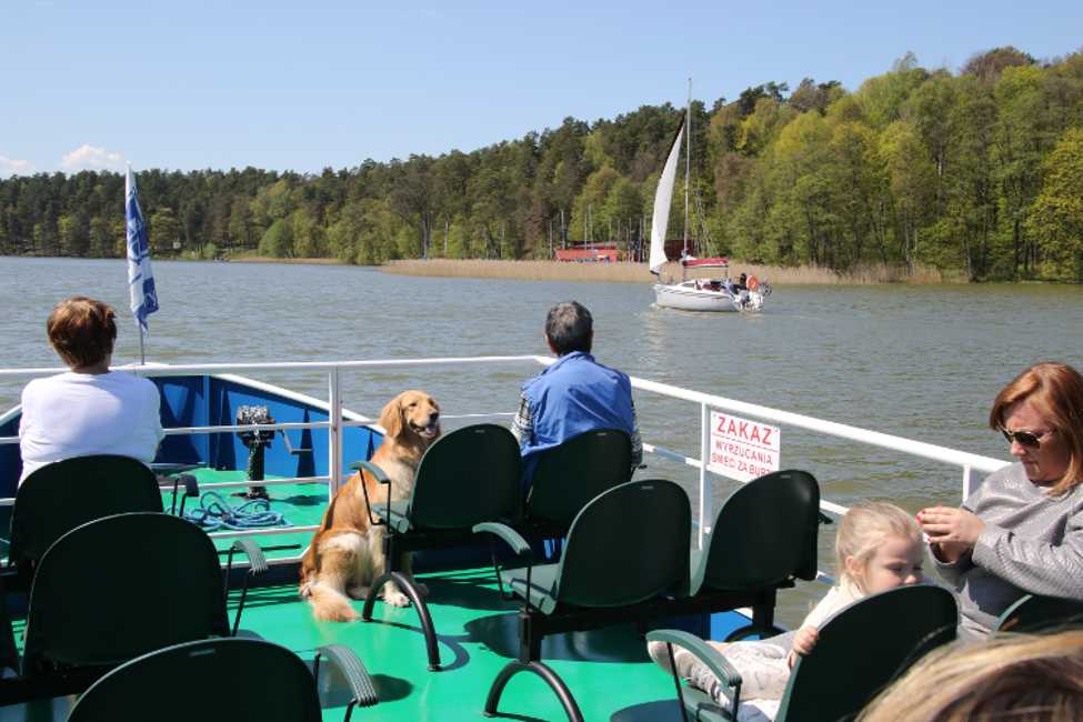 Hovawart-Zucht vom Gültsteiner Tor - Die Zuchthündin Jule vom Julienhof